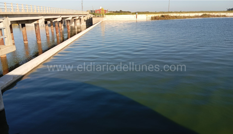 FOTOS. La Laguna de Gómez sigue ganado caudal y está a punto de ...